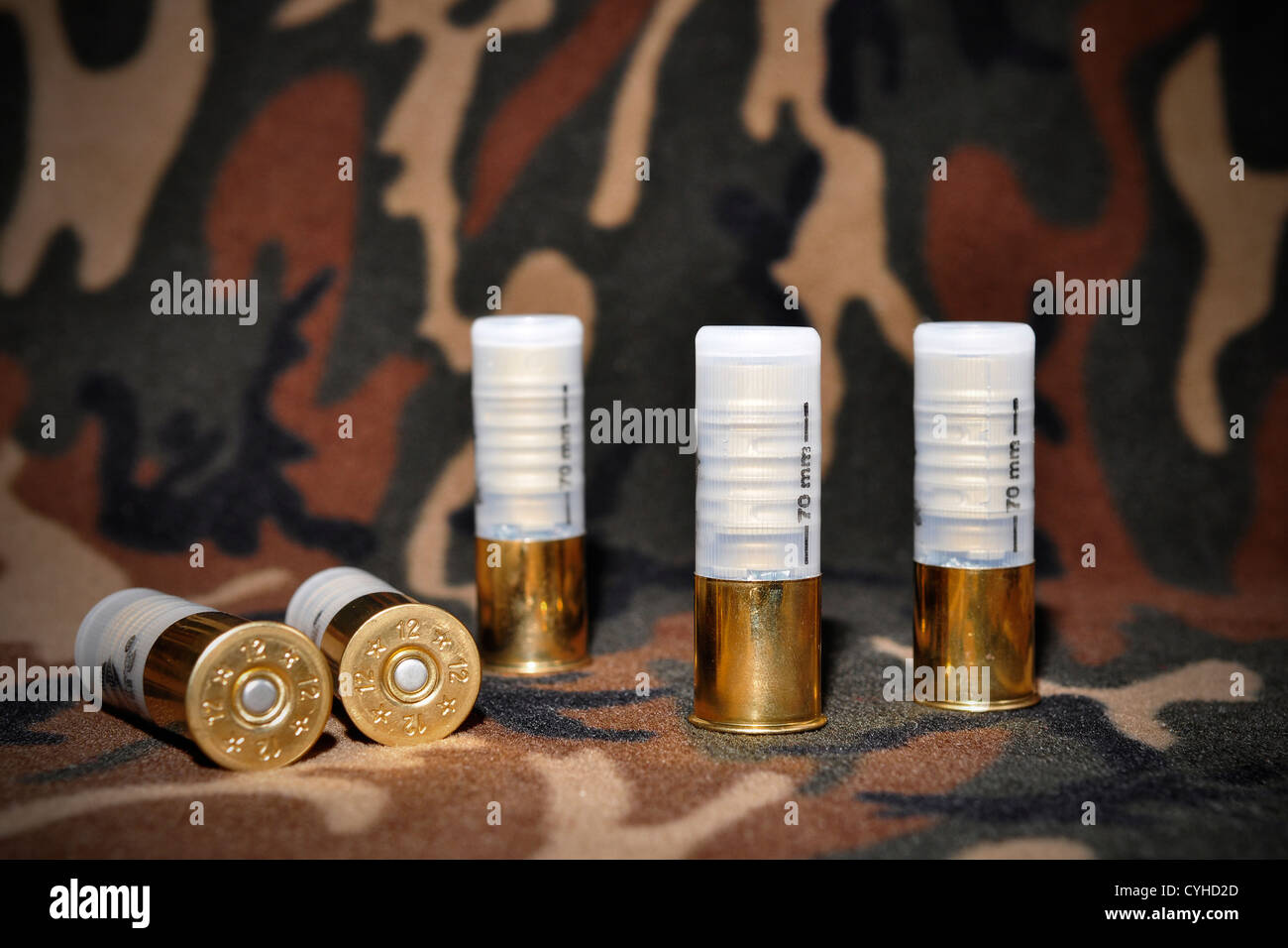 Used shells hi-res stock photography and images - Alamy