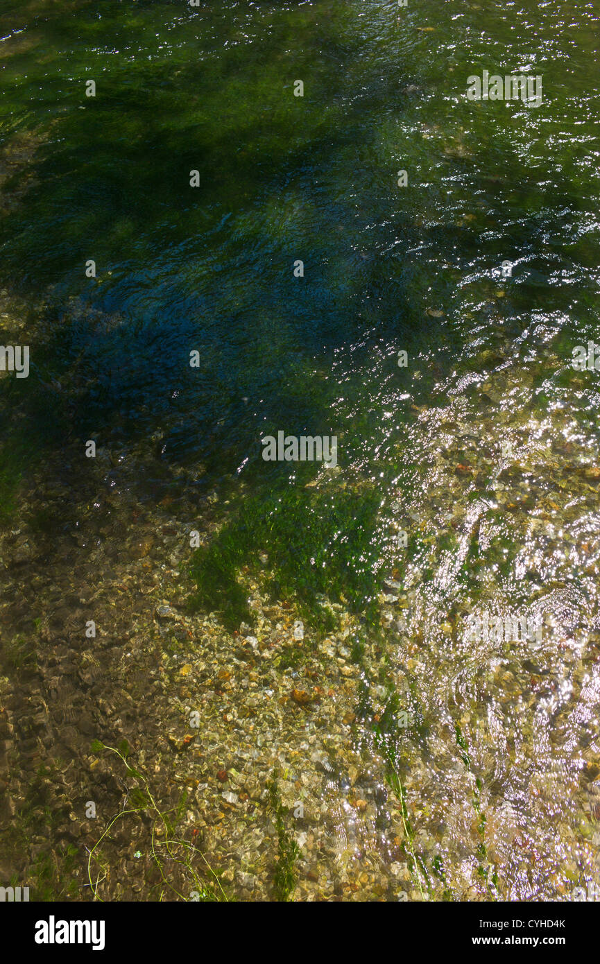 The River Test, a world renowned chalk stream at Wherwell, Hampshire ...