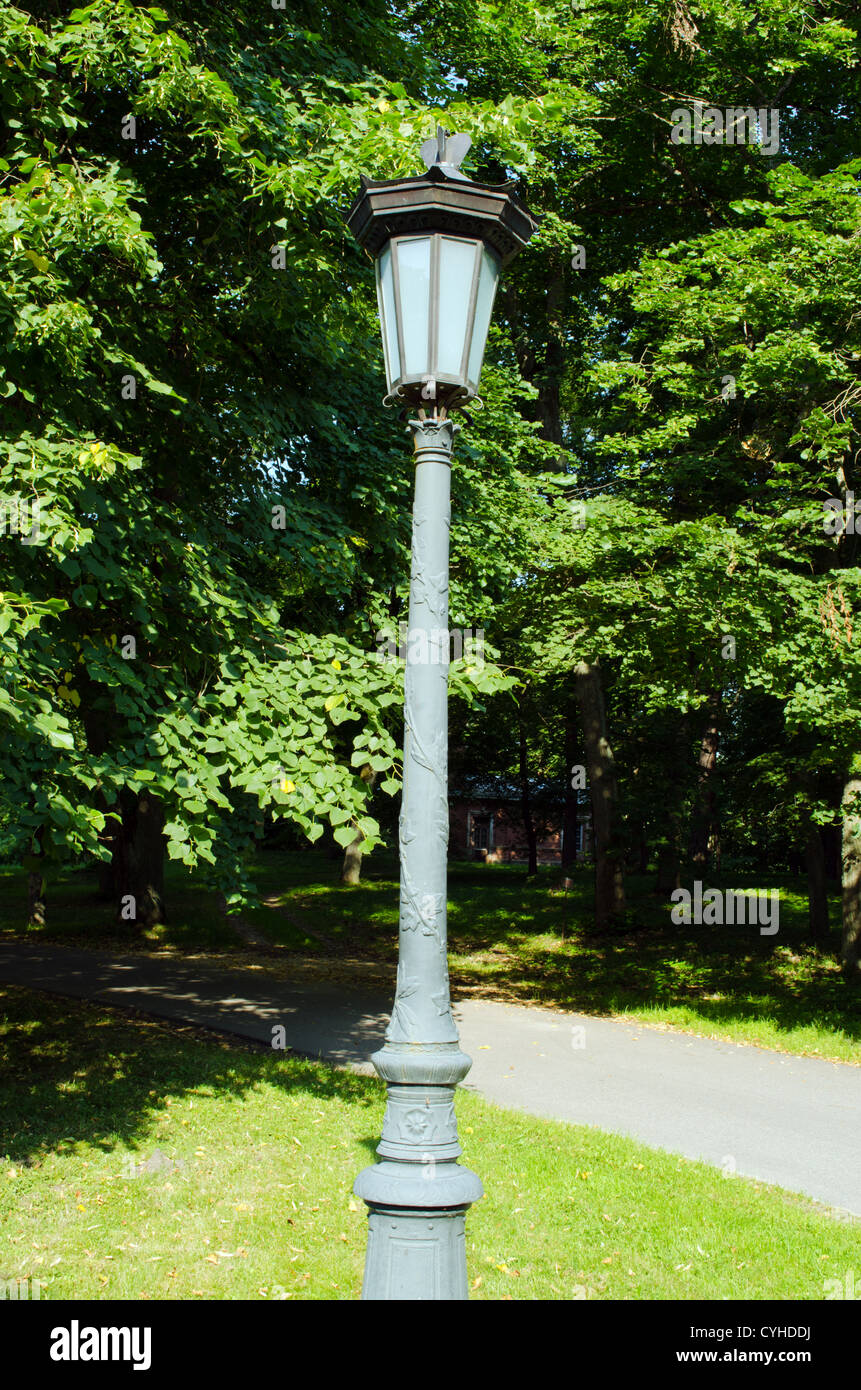Lime tree silhouette hi-res stock photography and images - Alamy