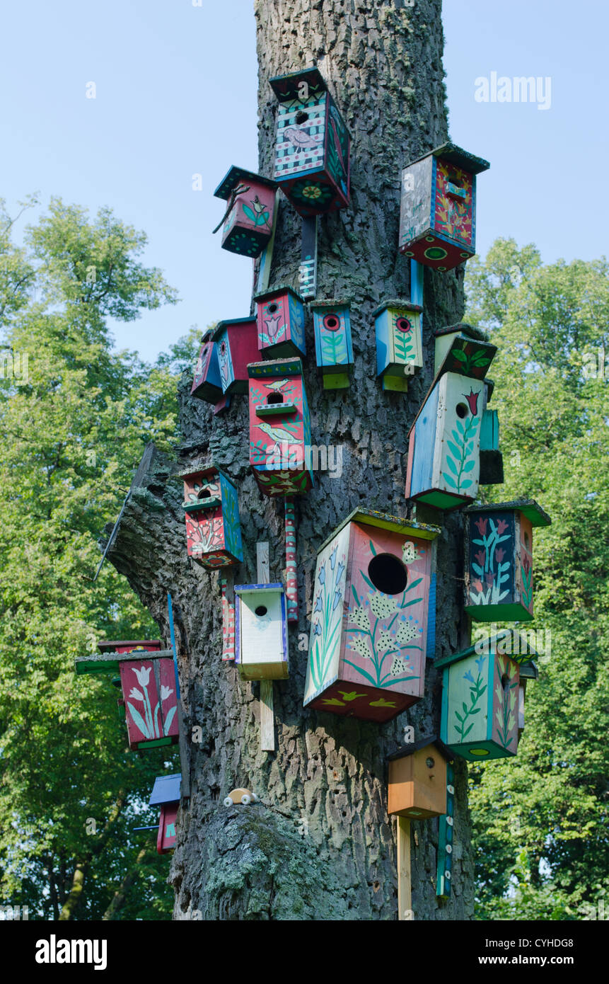 Big bird on tree hi-res stock photography and images - Alamy