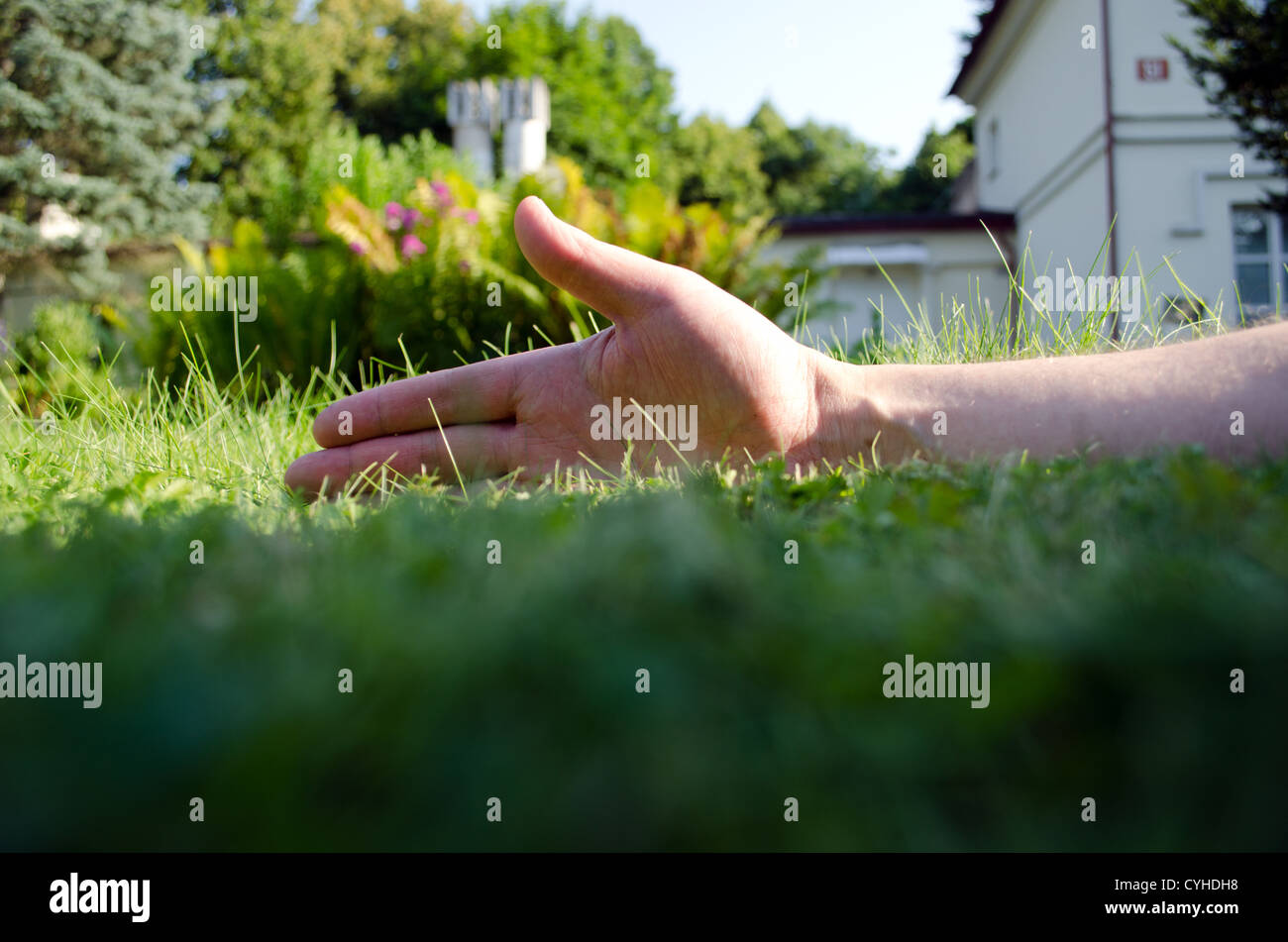 Human hand on garden meadow lawn grass and retro building fragment in ...