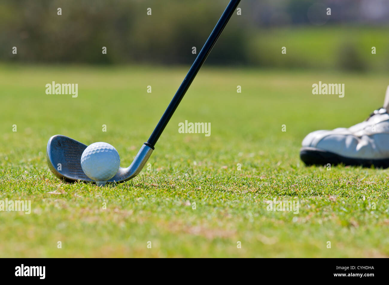 A real golfer in a golf course getting ready to strike the ball Stock ...