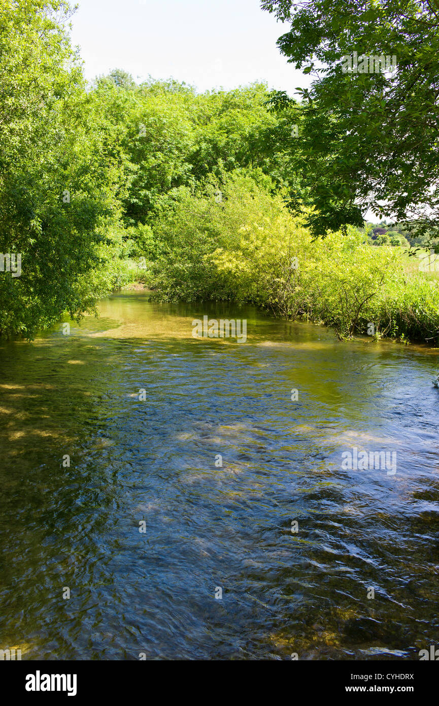 The River Test, a world renowned chalk stream at Wherwell, Hampshire ...