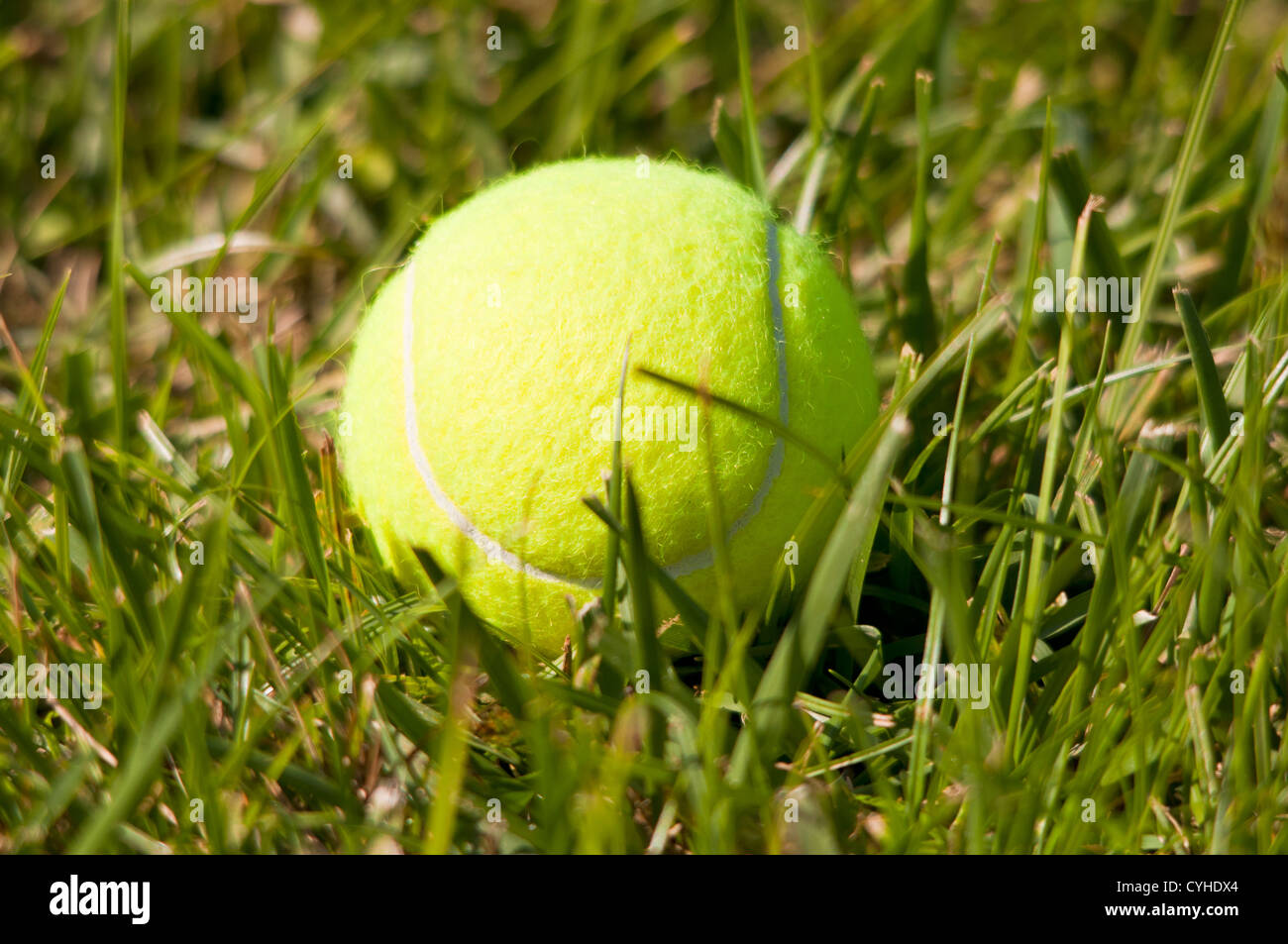 Tennis ball on a grass field Stock Photo - Alamy
