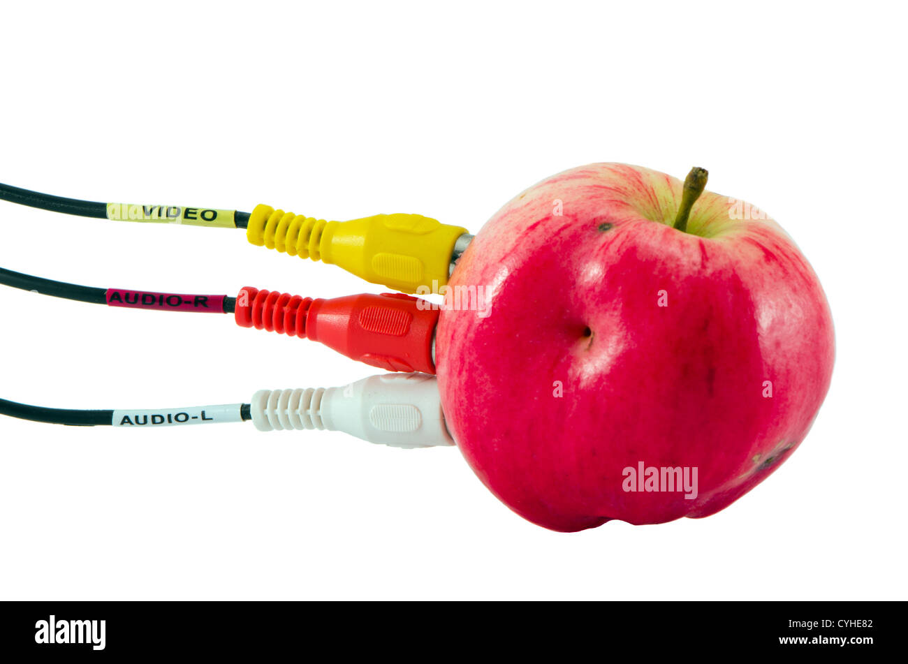 Tulip audio video wires plugs connect to apple concept. Colorful red ...