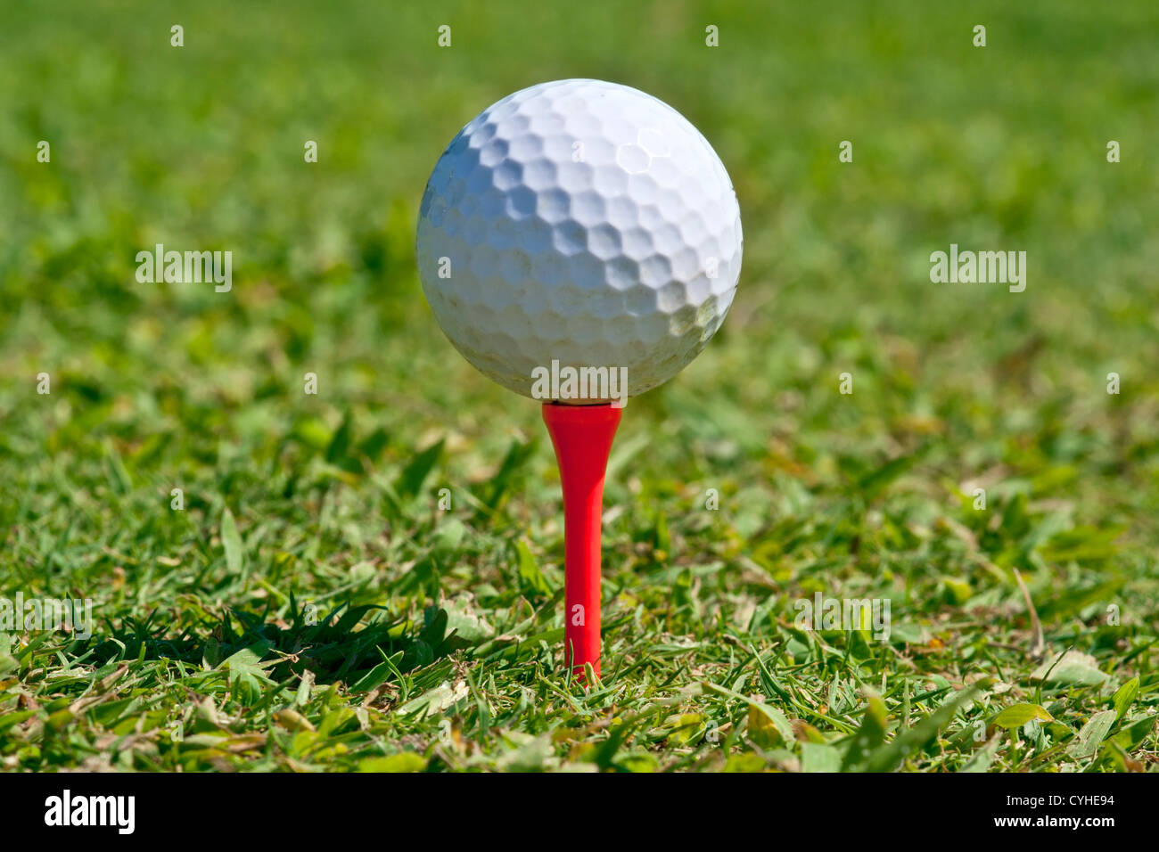 Golf ball on a real golf course green Stock Photo - Alamy