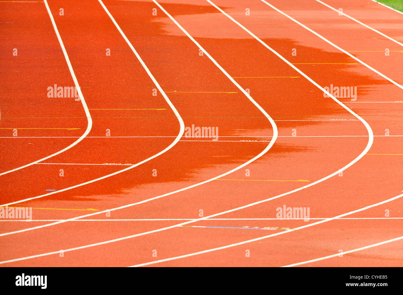 Details of a wet athletics running track Stock Photo - Alamy