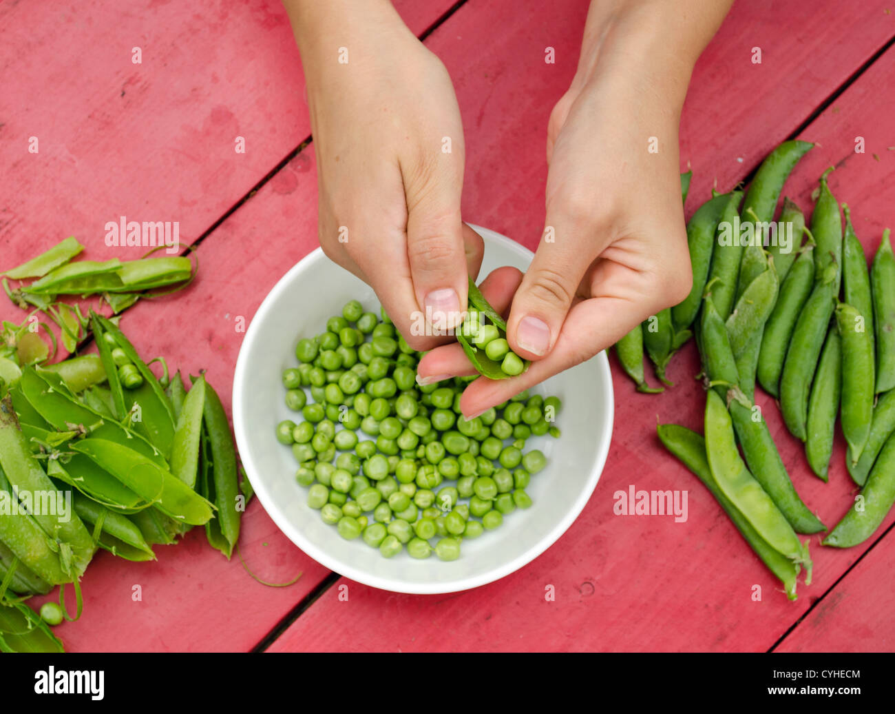 Woman hands hulled peas from shell in white plate on red wooden table ...