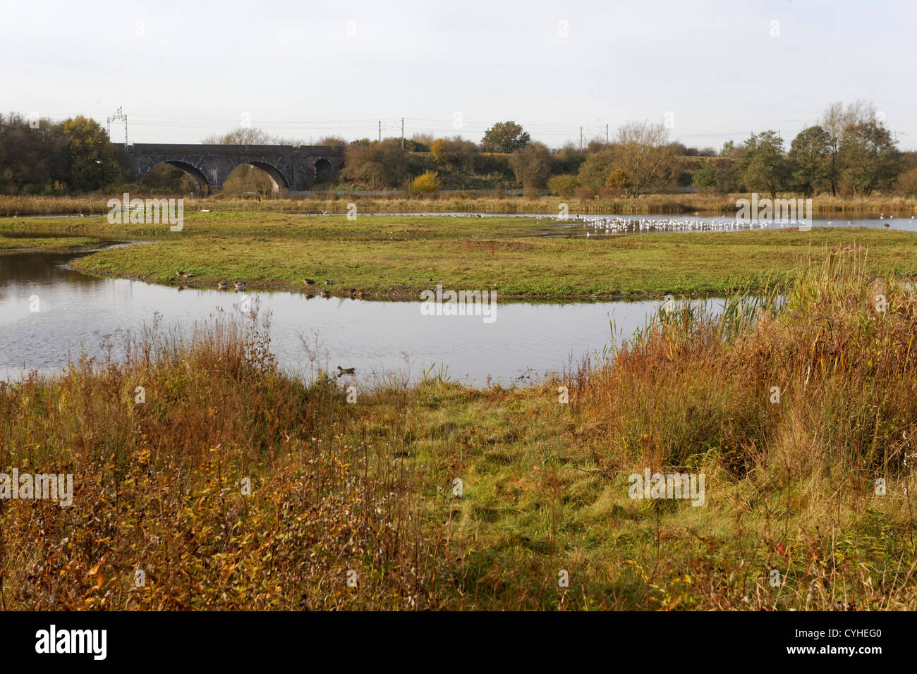 Marsh lane hi-res stock photography and images - Alamy