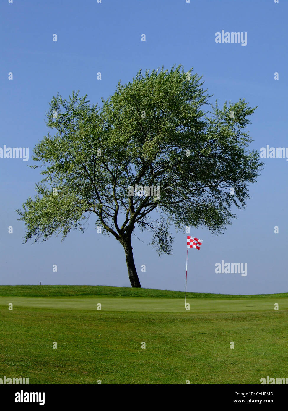Tree flag hi-res stock photography and images - Alamy