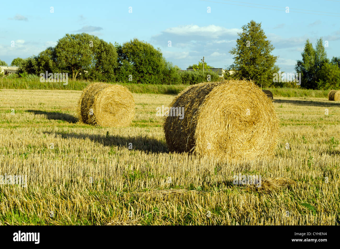 Straw bales shadows in harvested agricultural field in autumn Stock ...