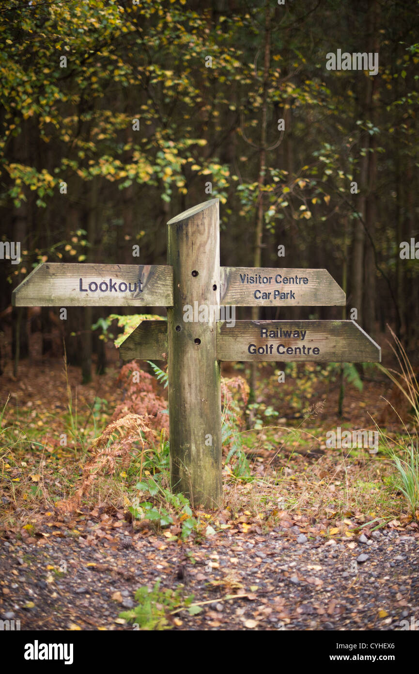 Signpost forest hi-res stock photography and images - Alamy