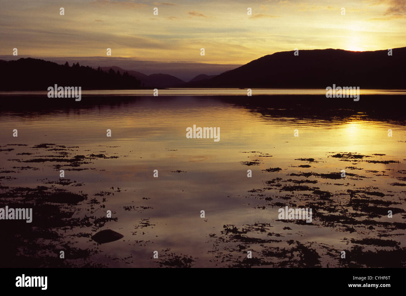 Stunning beautiful golden hour sunset hi-res stock photography and ...