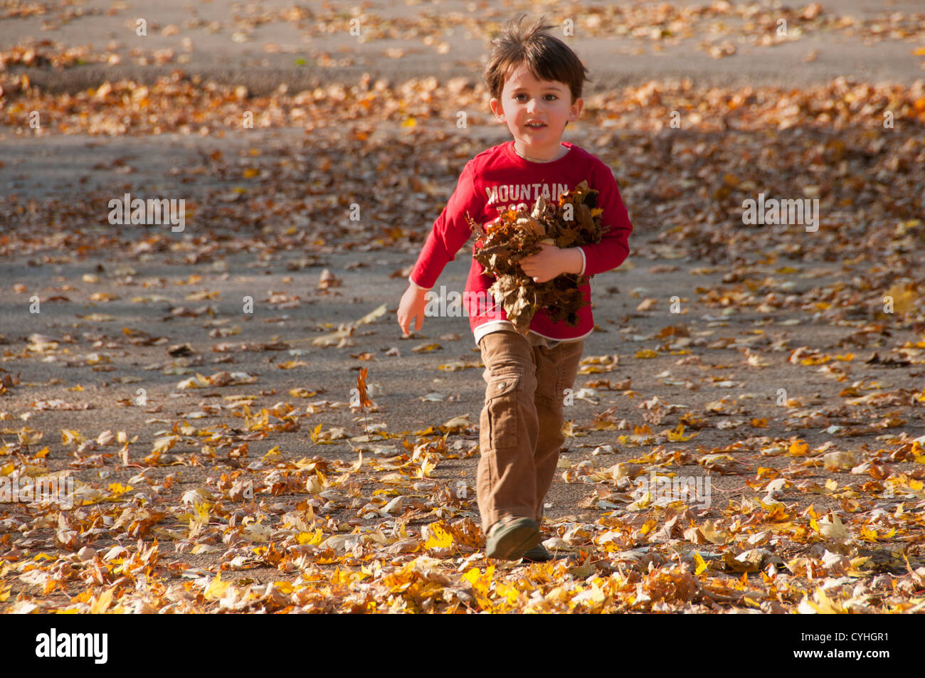 Autumn activities for kids hi-res stock photography and images - Alamy
