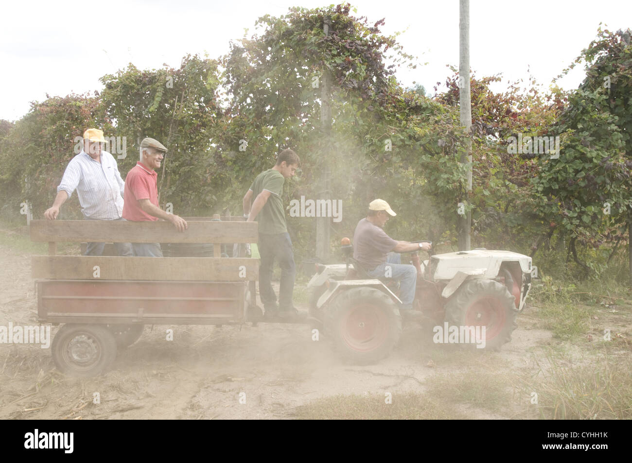 workers being transported in a small tractor Stock Photo - Alamy