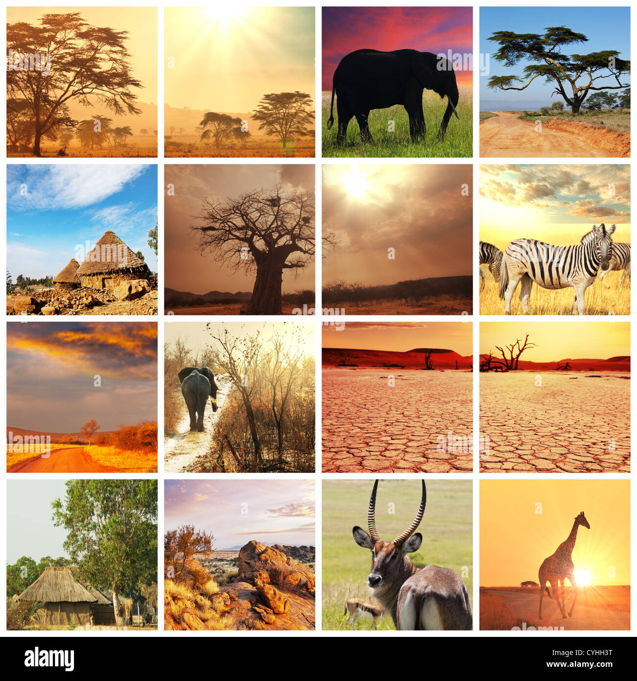African desert collage hi-res stock photography and images - Alamy