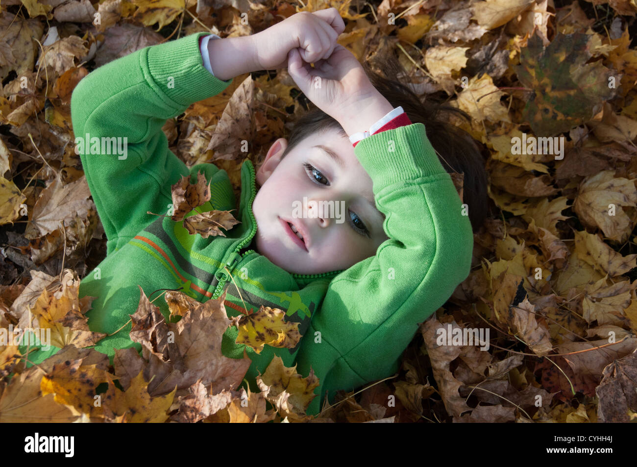 Child laying on ground with leaves Stock Photo - Alamy