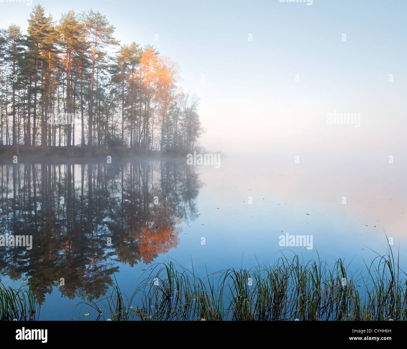 Still lake landscape with fog in cold autumn morning Stock Photo - Alamy