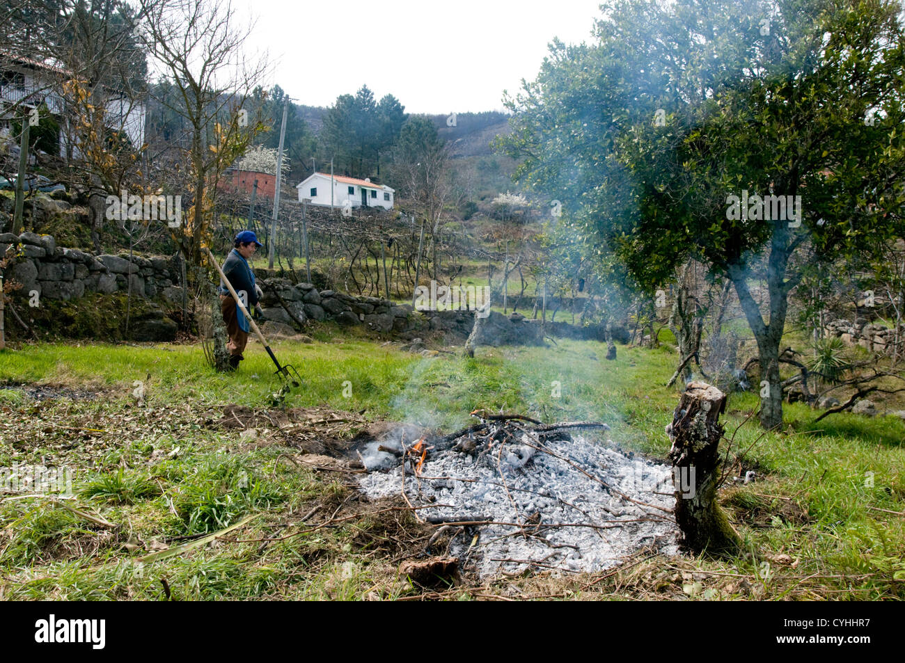 burning vine prunings in the field Stock Photo - Alamy