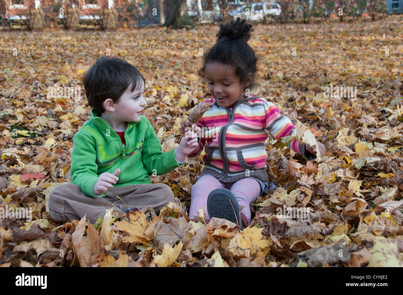 Two children playing in leaves Stock Photo - Alamy