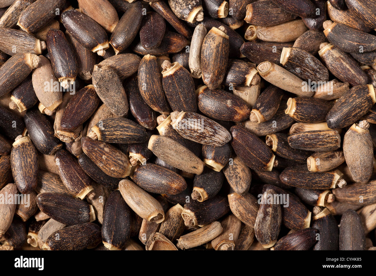 Thistle seed hi-res stock photography and images - Alamy