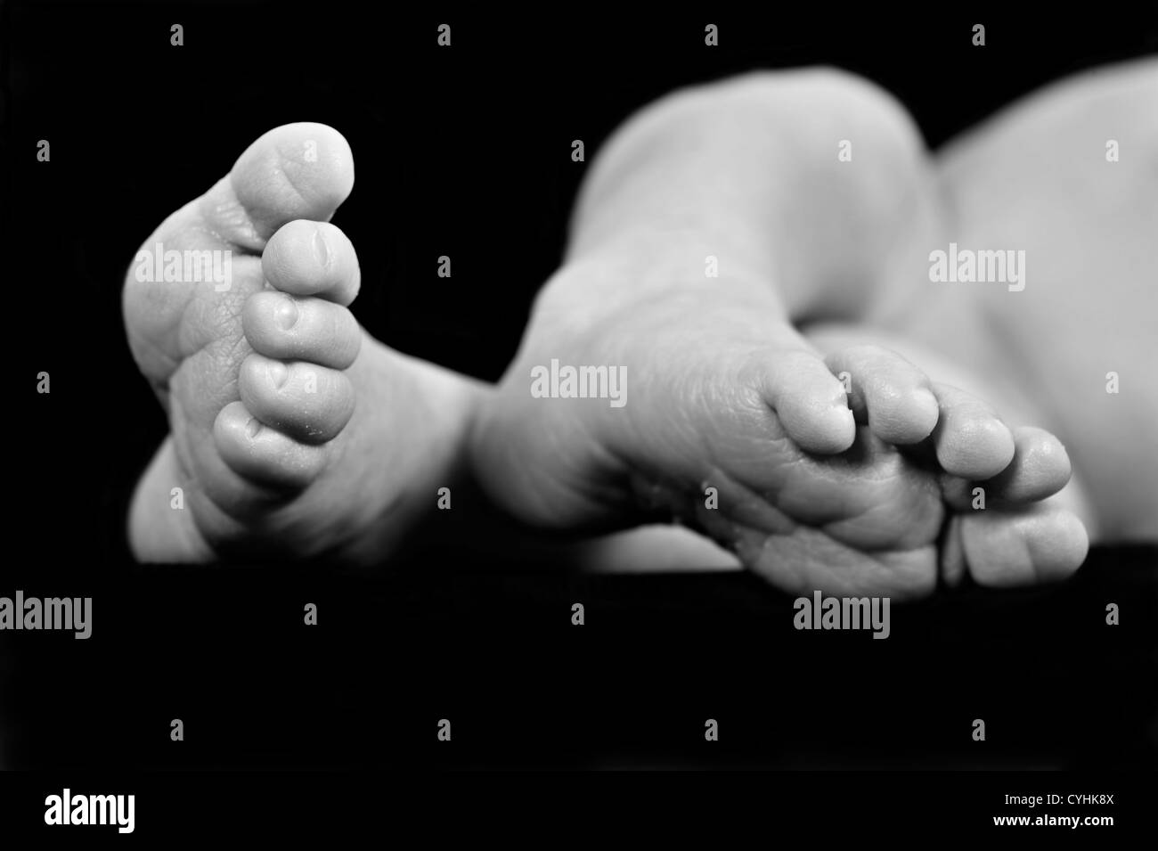 Little Feet The Feet Of A New Born Baby Stock Photo Alamy little-feet-the-feet-of-a-new-born-baby-stock-photo-alamy