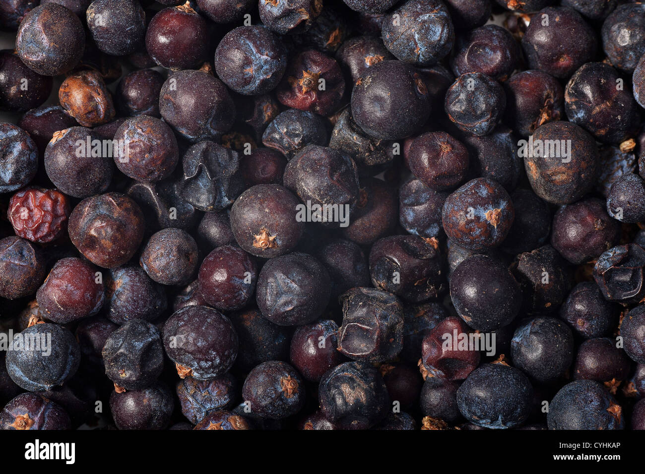 dried juniper berry closeup background Stock Photo - Alamy