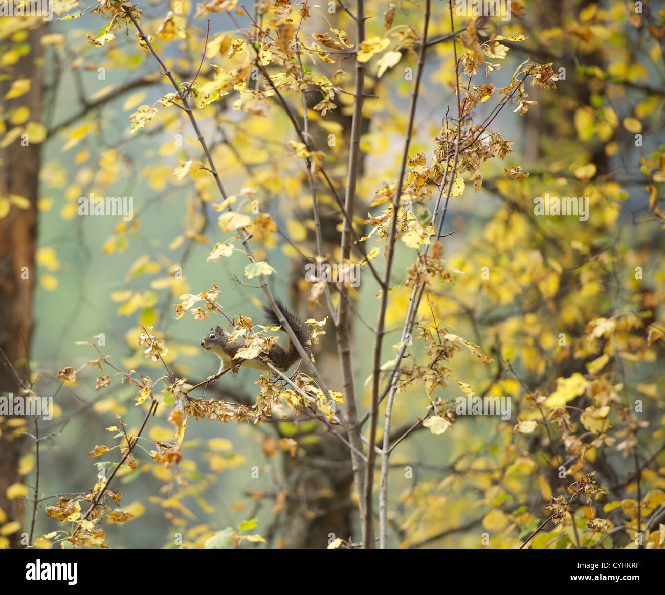 Change energy hi-res stock photography and images - Alamy