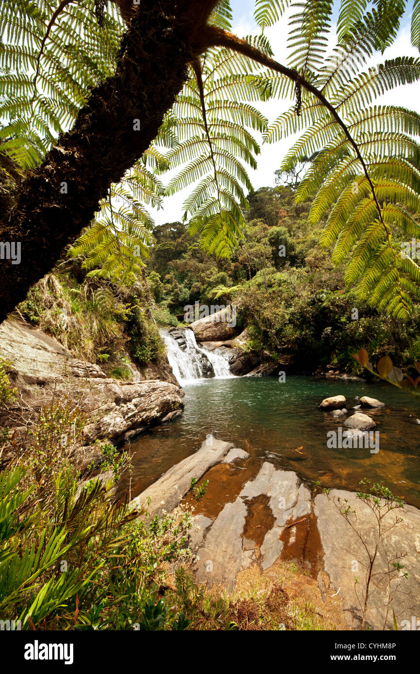 Waterfall on Sri Lanka,Horton Place Stock Photo - Alamy