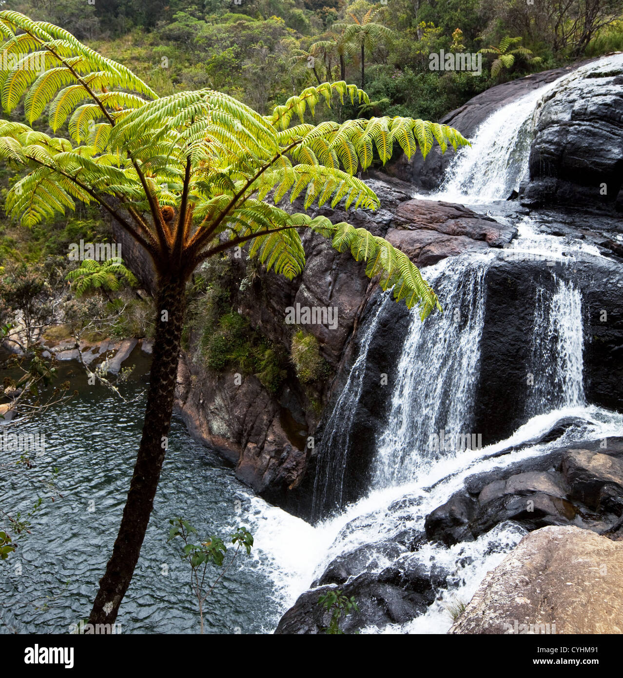 Waterfall on Sri Lanka,Horton Place Stock Photo - Alamy