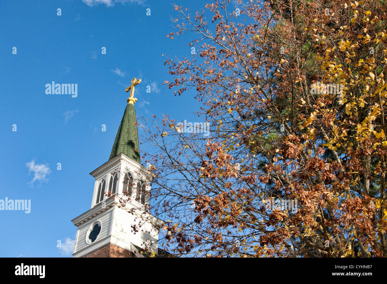 The top steeple of a church behind a tree against a bright blue sky ...