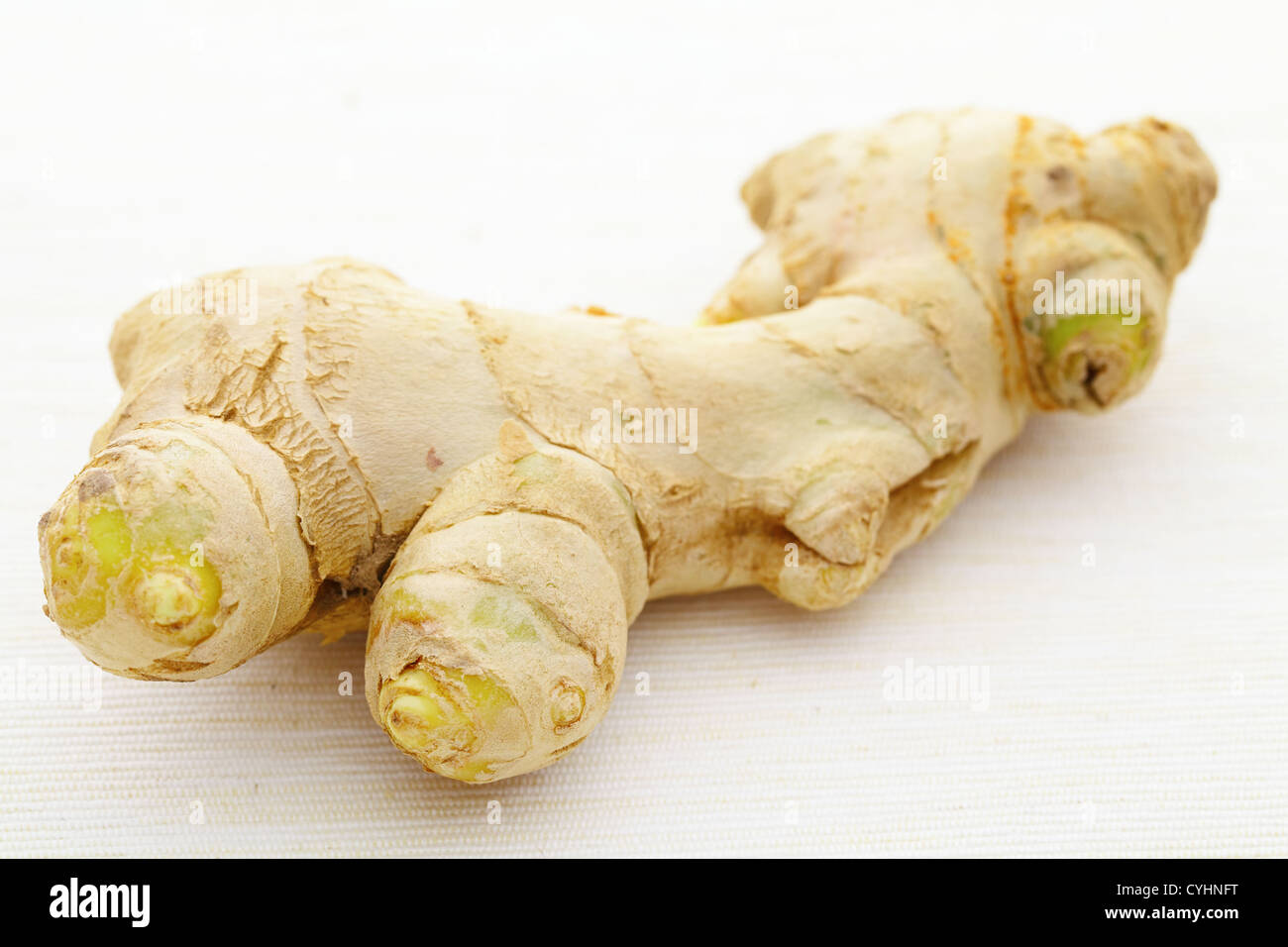 Tuber root rhizome hi-res stock photography and images - Alamy