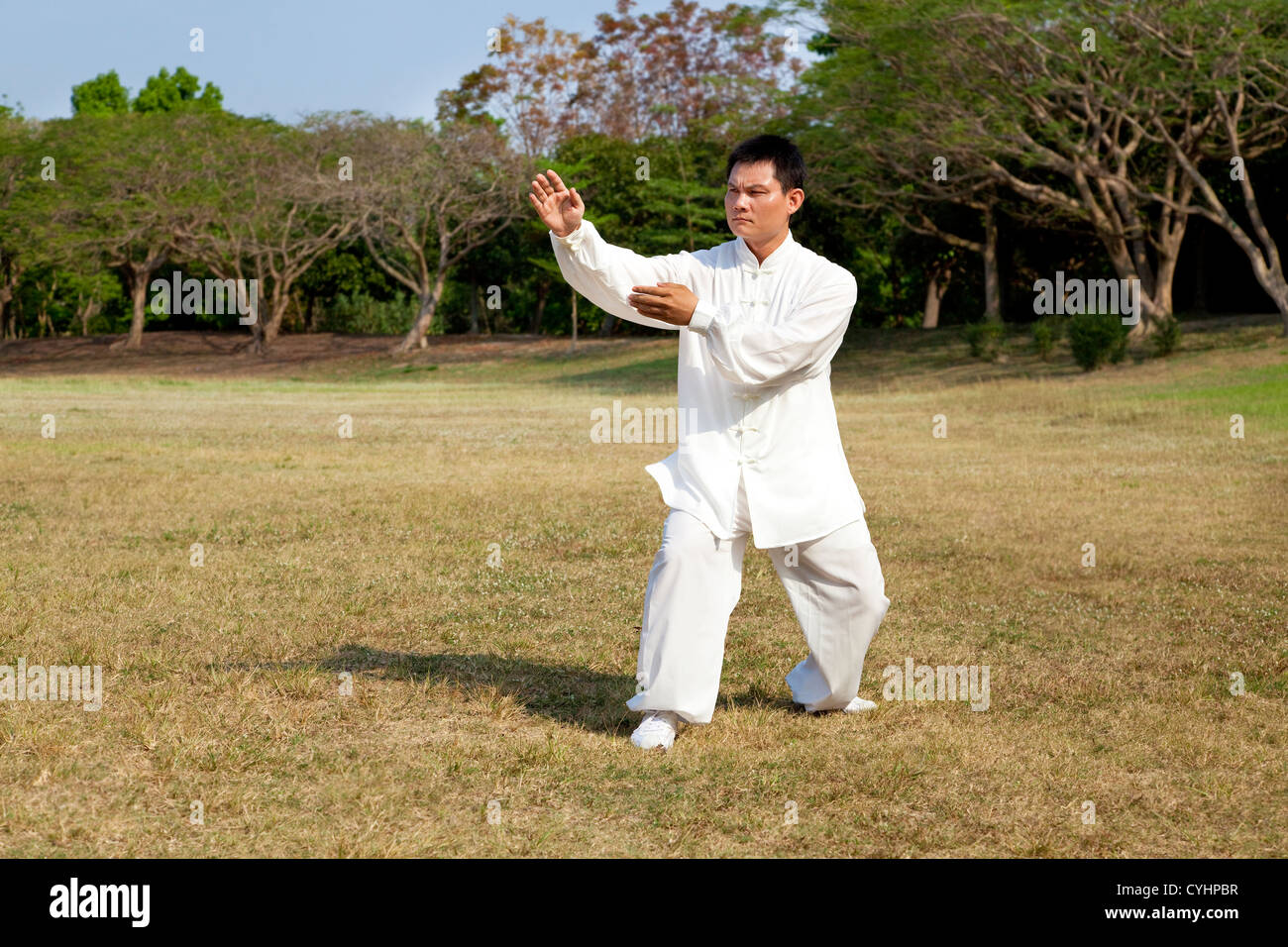 man in a kung fu position Stock Photo - Alamy
