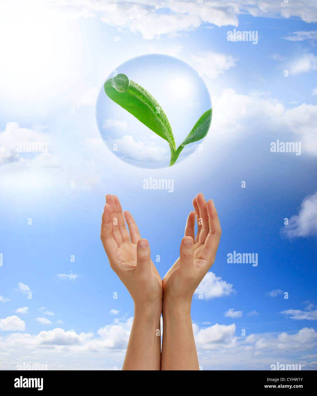 Nature in our hands Stock Photo - Alamy