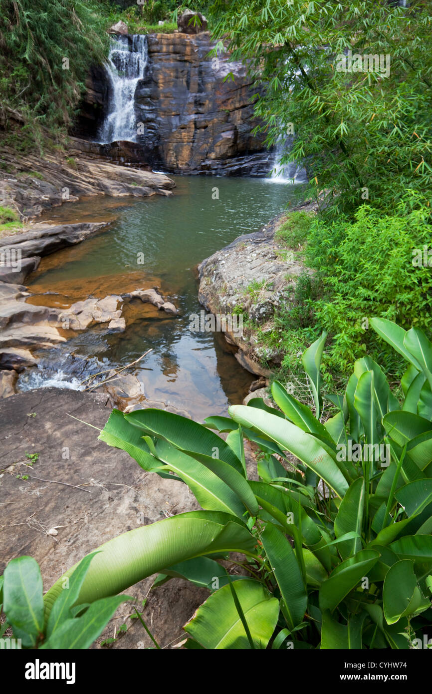 Waterfall on Sri Lanka,Horton Place Stock Photo - Alamy