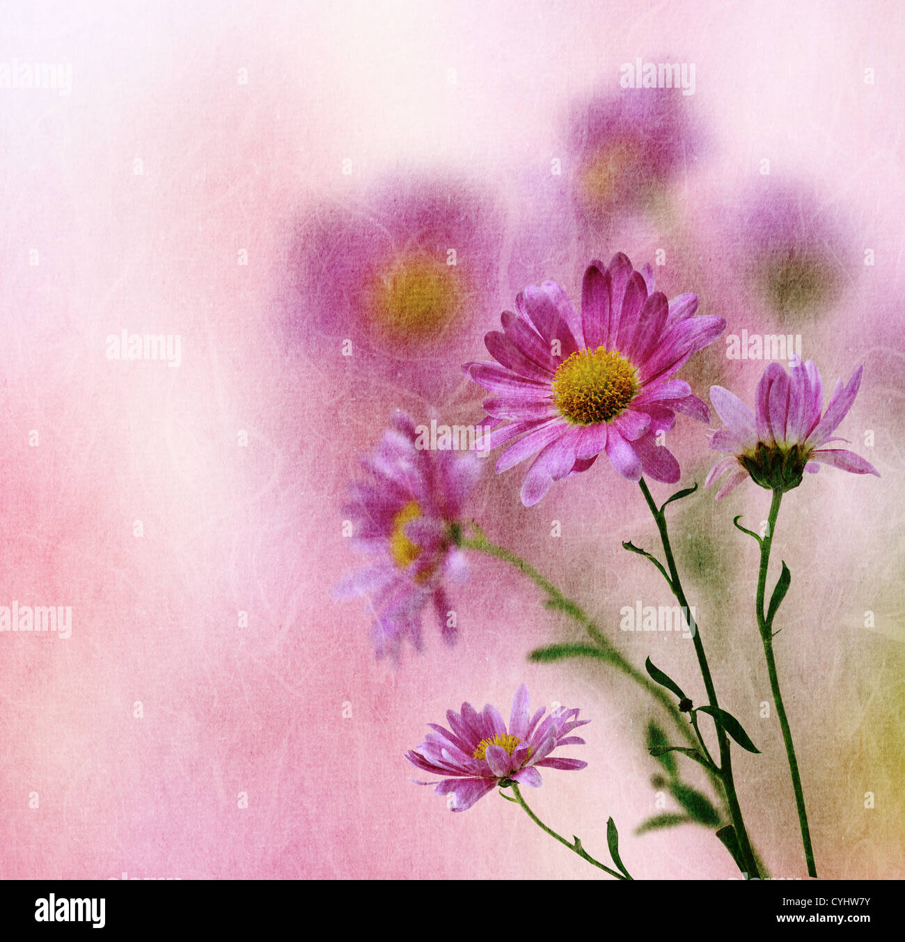 Pink flowers soft light background Stock Photo - Alamy