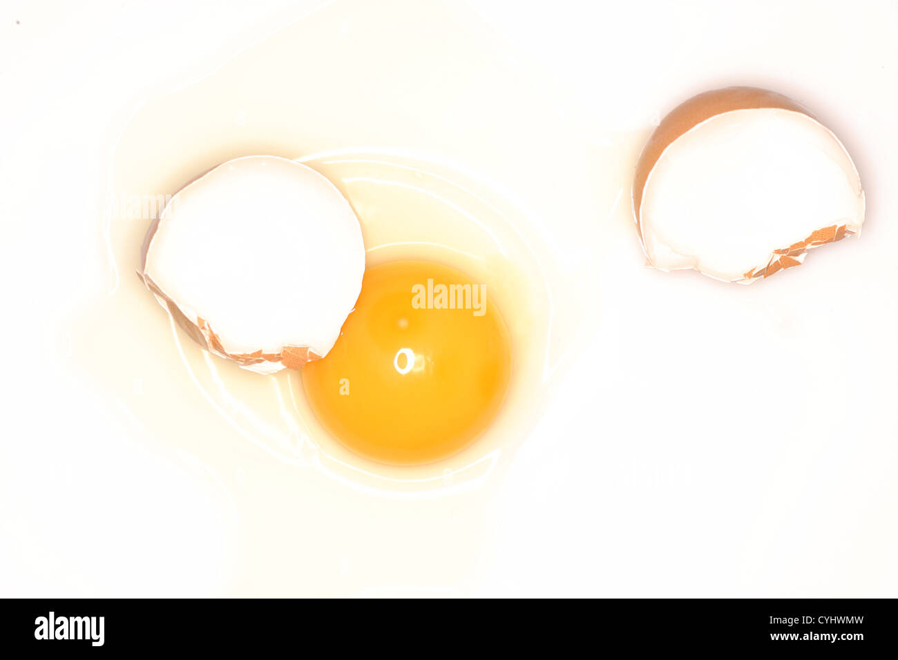 a broken egg on isolated white background Stock Photo - Alamy