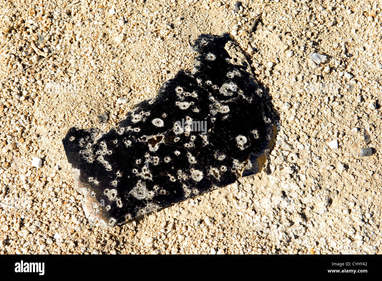 Target shooting trash in the Western Mojave Desert Stock Photo - Alamy