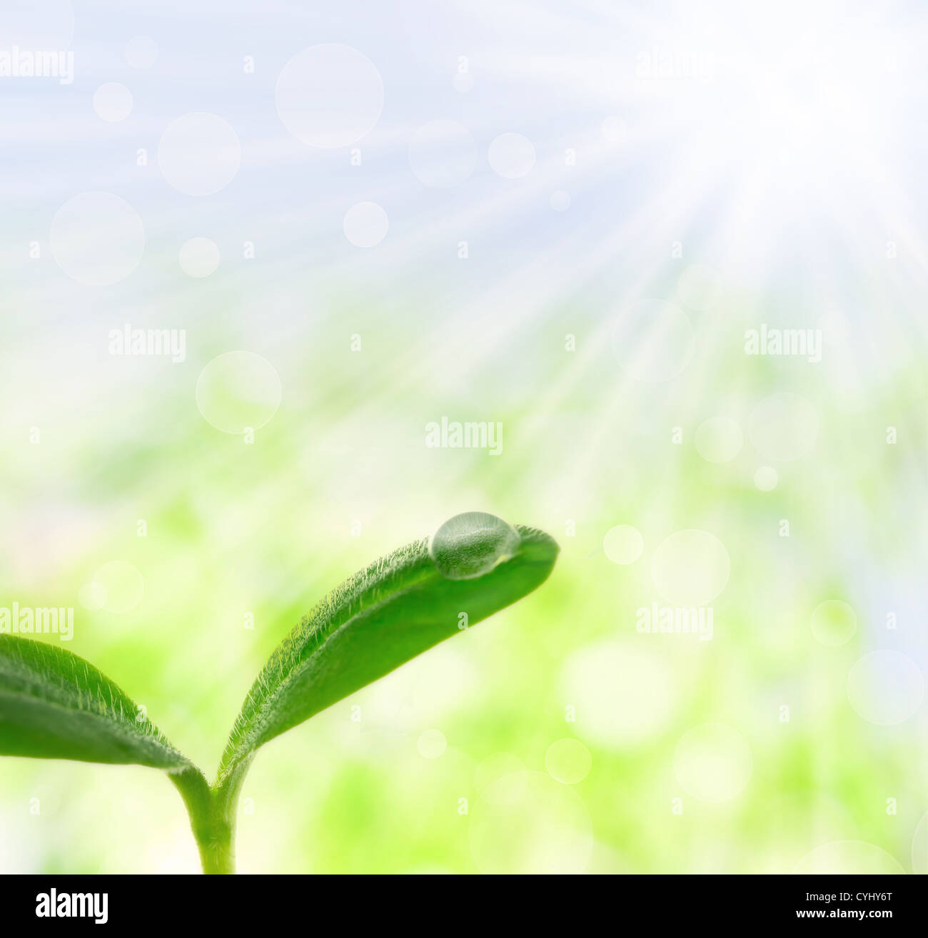 Spro hi-res stock photography and images - Alamy