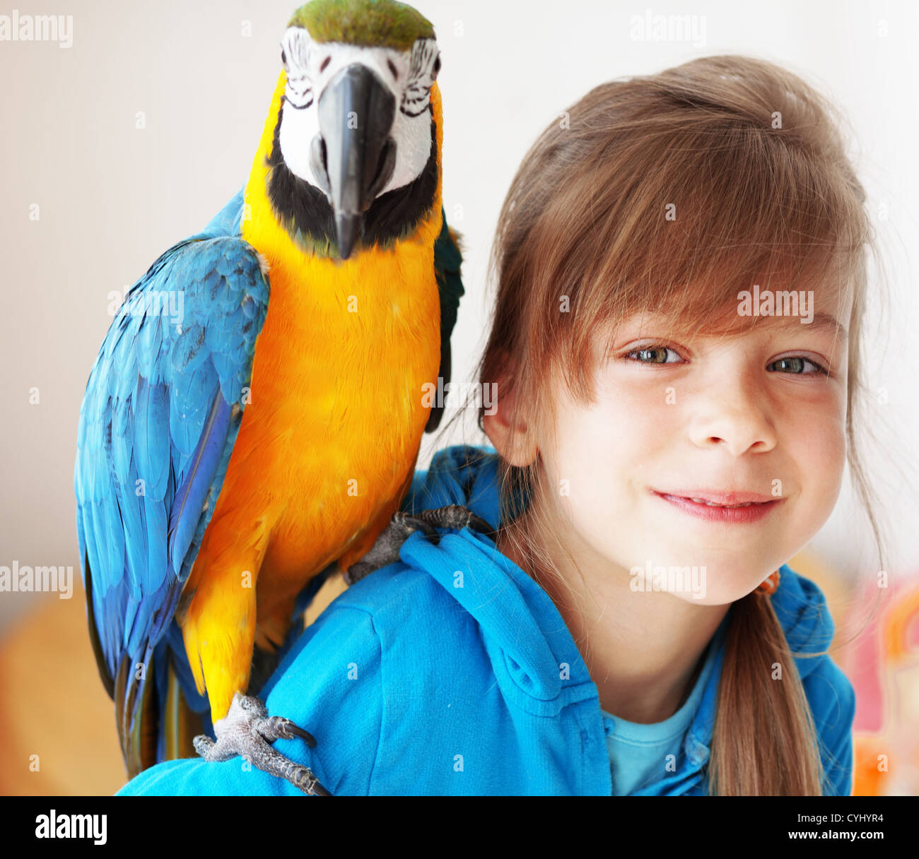 Portrait of a kid girl with her domestic ara parrot Stock Photo - Alamy