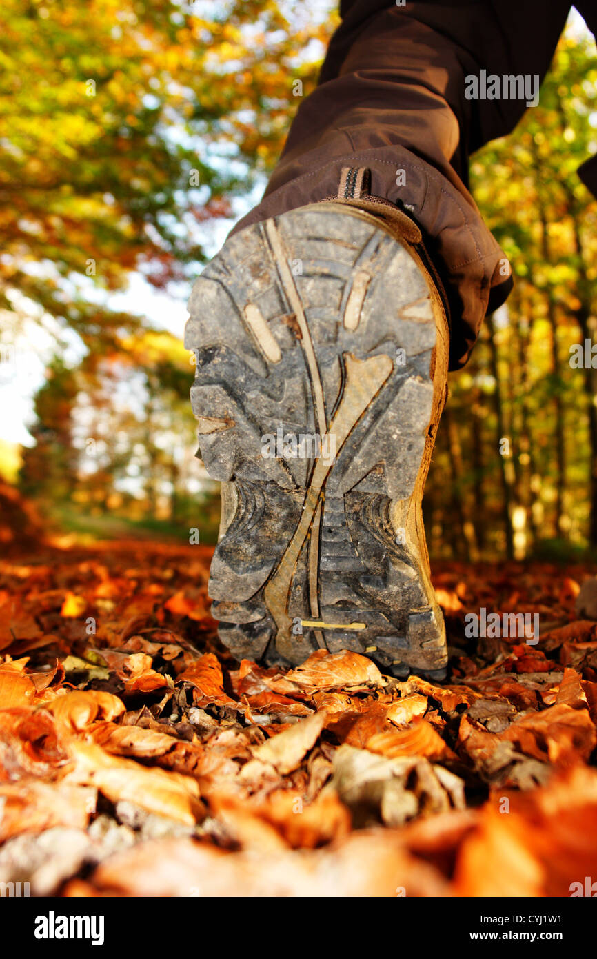 From underfoot hi-res stock photography and images - Alamy