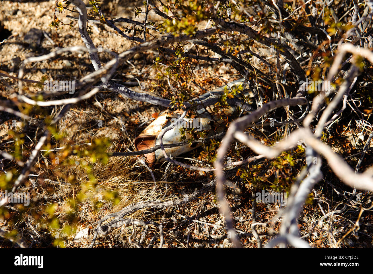 Target shooting trash in the Western Mojave Desert Stock Photo - Alamy
