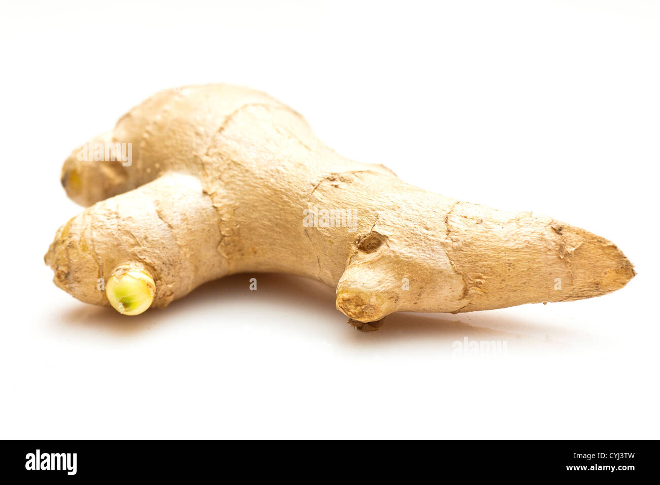 Ginger root slice on Cut Out Stock Images & Pictures - Alamy