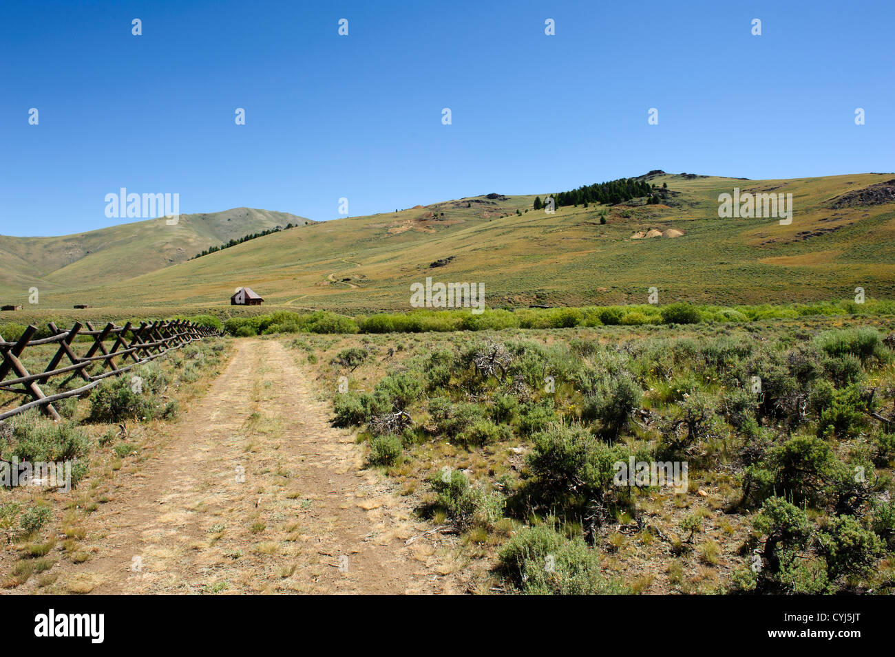 Antelope Pass area of the Copper Basin near Sun Valley, Idaho Stock ...