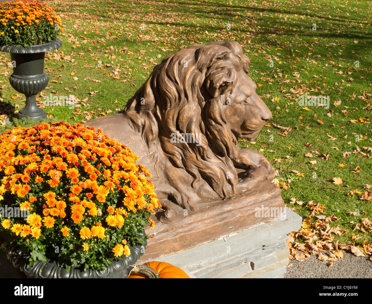 Decorative Lion Statue and Flowers, USA Stock Photo - Alamy