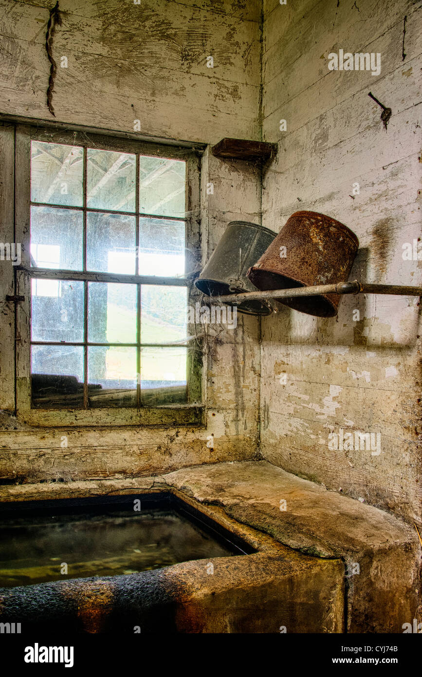 Milk pales in the milking room of a barn Stock Photo - Alamy