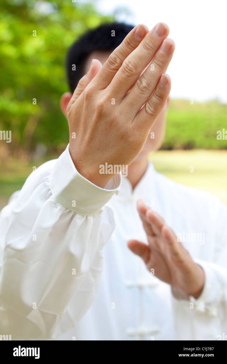 hand of kung fu Stock Photo - Alamy