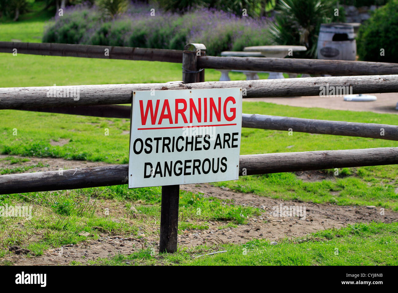 Warning sign at Cape Point Ostrich Farm,Western Cape, South Africa ...