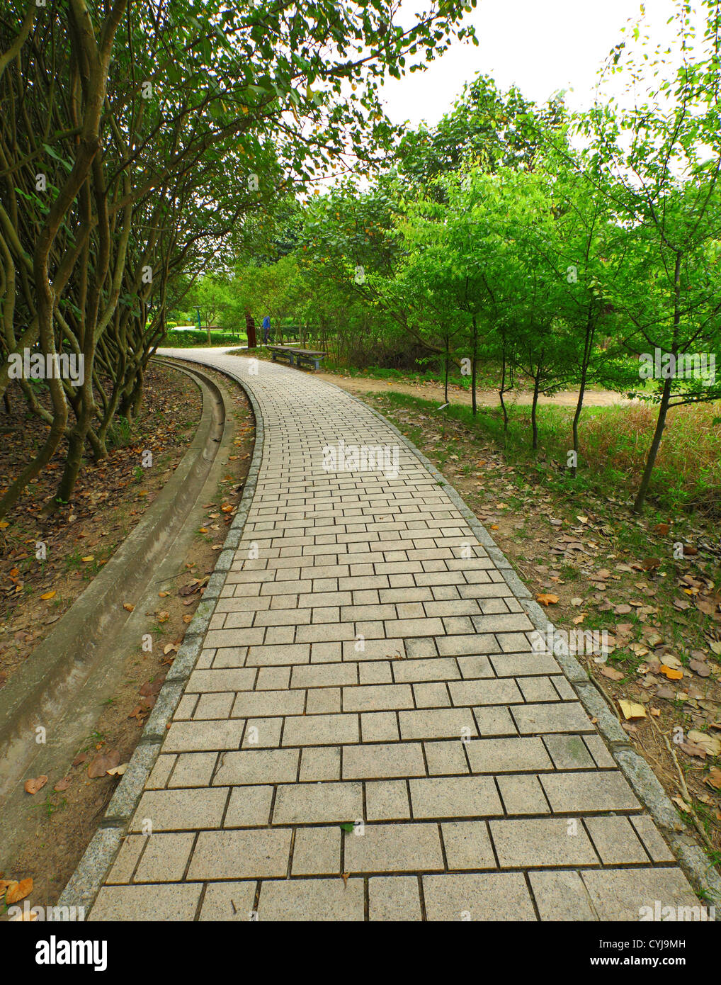 Side view path in hi-res stock photography and images - Alamy