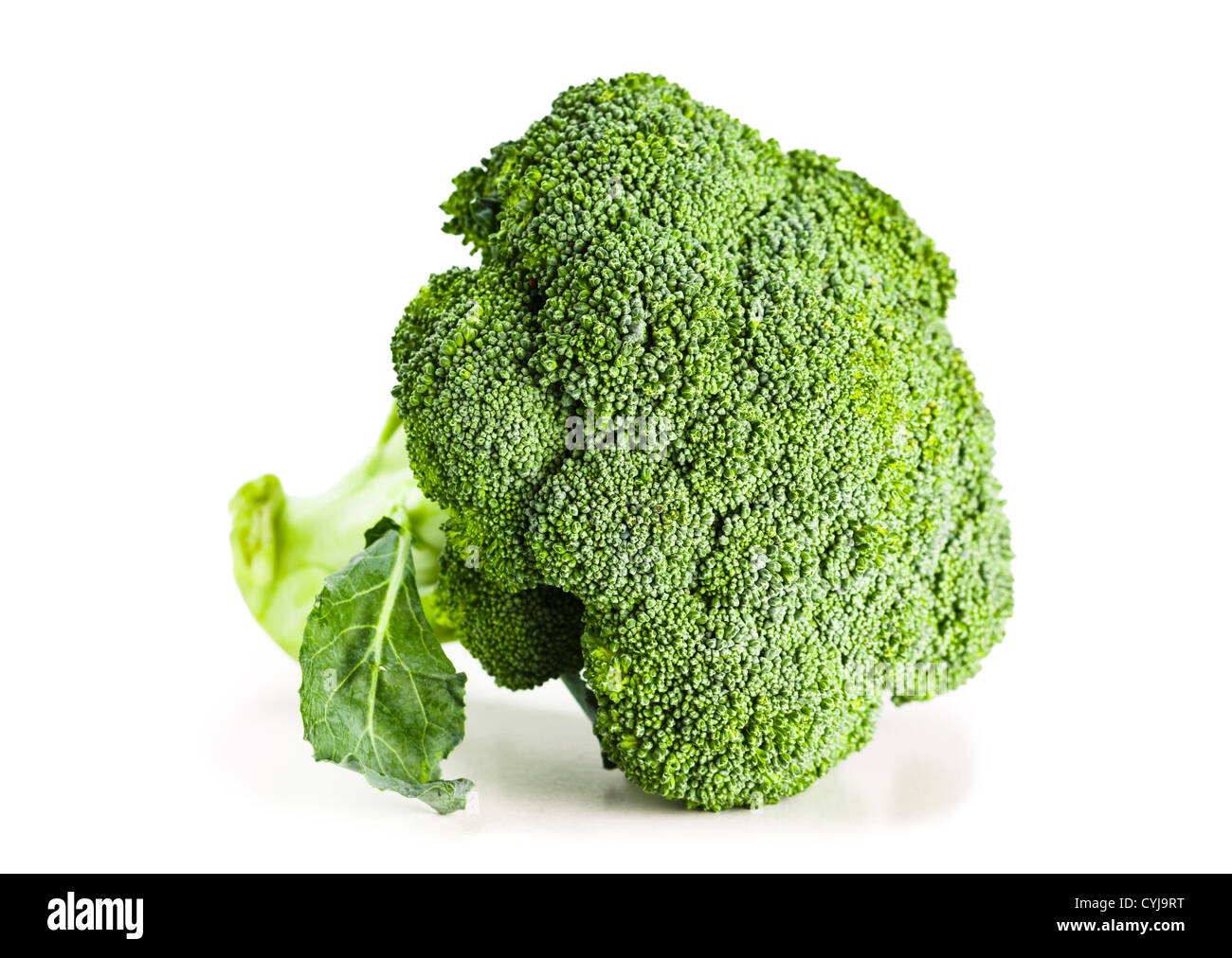 A large fresh organic broccoli head. Isolated on white Stock Photo - Alamy